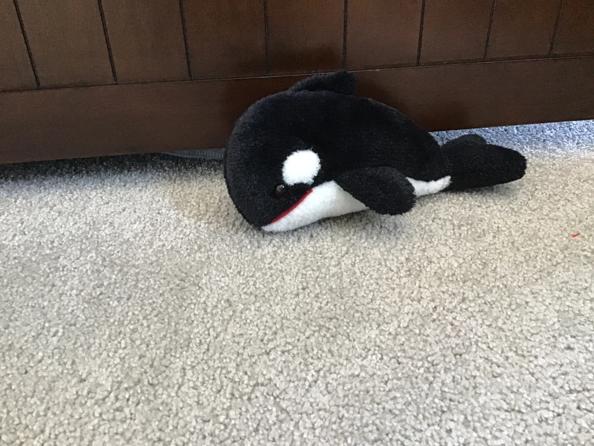 Orca the Killer Whale | Stuffed Animal Wiki | Fandom