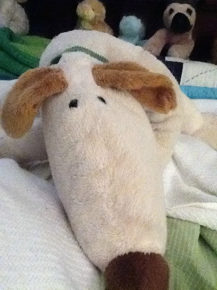 Noodles | Stuffed animals adventure Wiki | Fandom