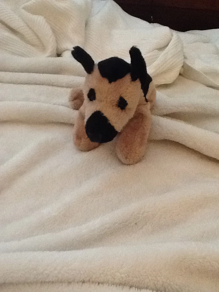 Duke | Stuffed animals adventure Wiki | Fandom