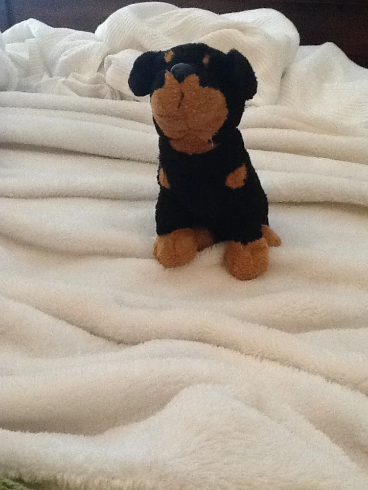 Wolfy | Stuffed animals adventure Wiki | Fandom