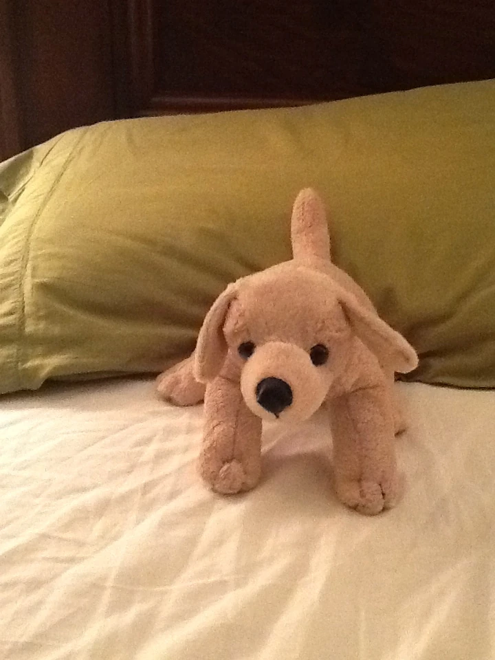 Shadow | Stuffed animals adventure Wiki | Fandom