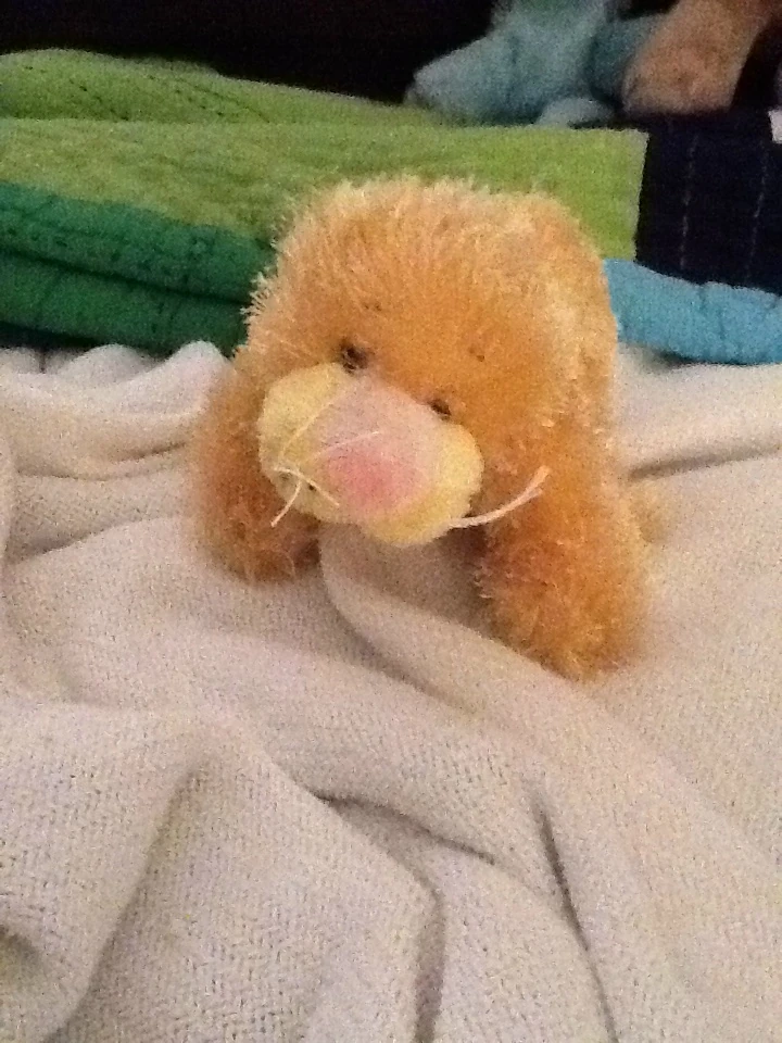 Beap | Stuffed animals adventure Wiki | Fandom