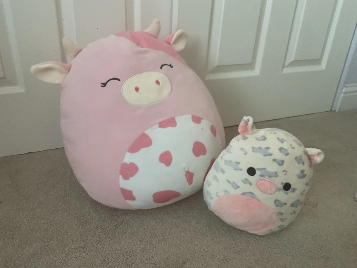 Squishmallows | Stuffy Land Wiki | Fandom