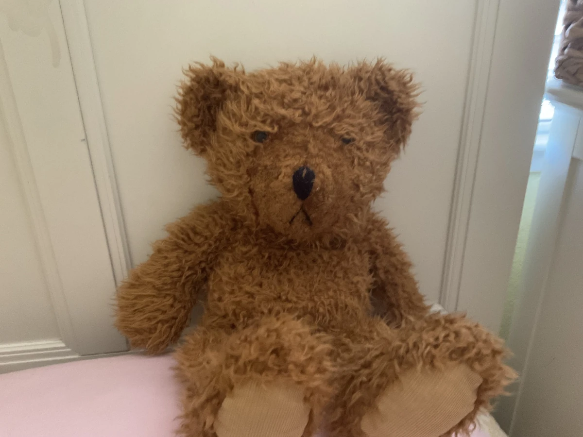 Bear | Stuffy Land Wiki | Fandom