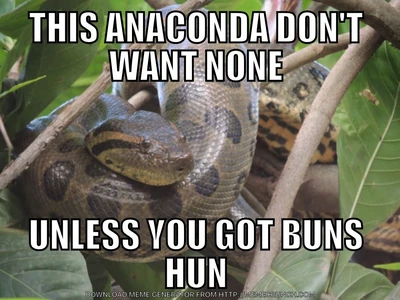 Queen Anaconda | Stupid Wings of Fire Wiki | Fandom