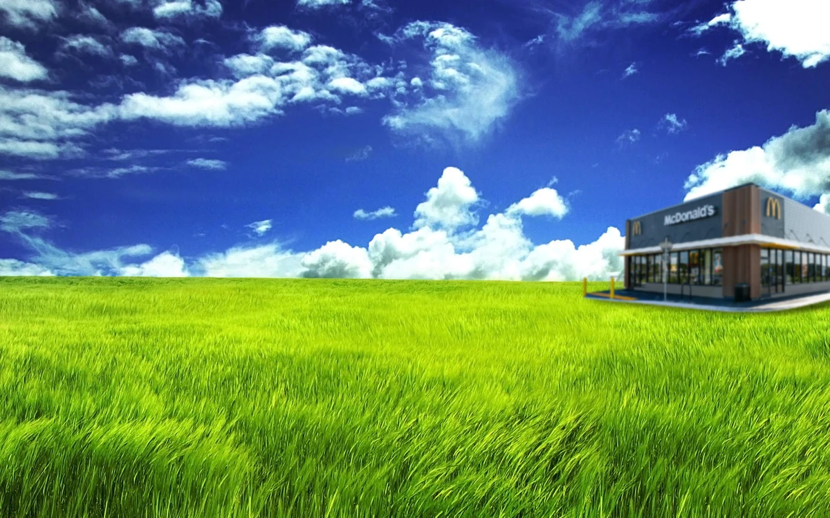 Random Place | Stupider Wiki | Fandom