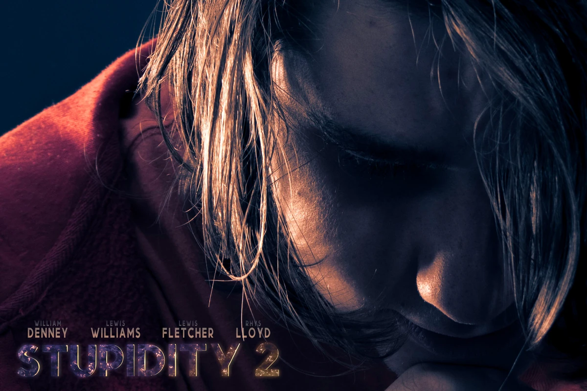 Stupidity 2 | Stupidity Wiki | Fandom