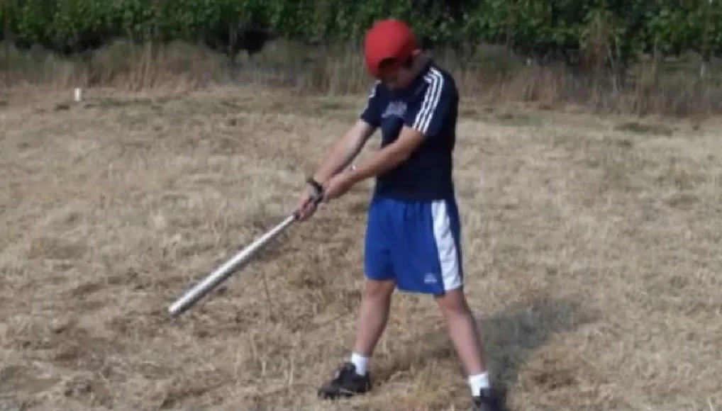 Ness' Bat | Stupid Mario Brothers Wiki | Fandom