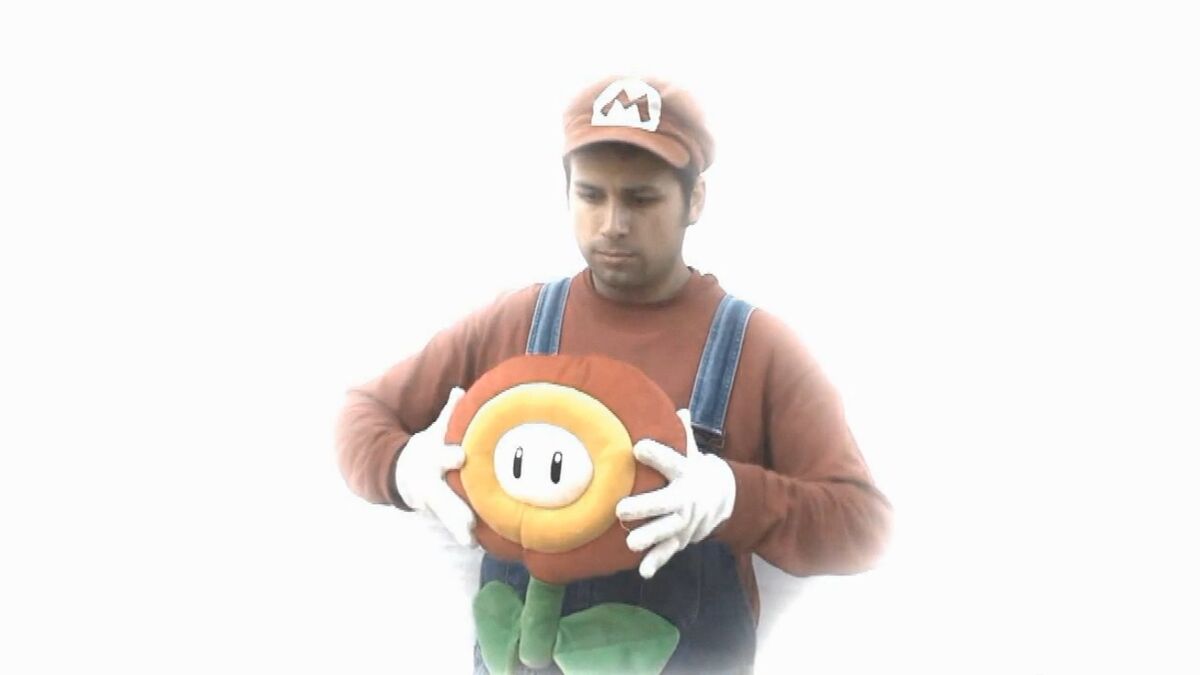 Afterlife Stupid Mario Brothers Wiki Fandom