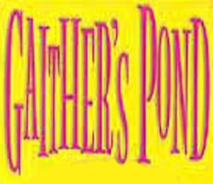 Gaither's Pond | STV Wiki | Fandom