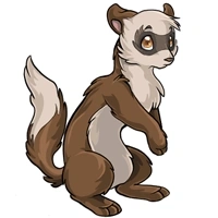 List of Pherret Colors | Subeta Wiki | Fandom