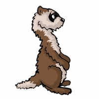 List of Pherret Colors | Subeta Wiki | Fandom