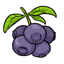 Blueberries | Subeta Wiki | Fandom