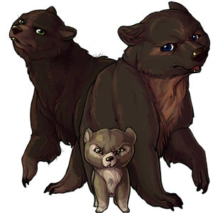 Three Angry Bears | Subeta Wiki | Fandom