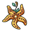 Starfish Fruit | Subeta Wiki | Fandom