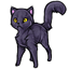 Black Cat | Subeta Wiki | Fandom