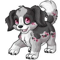 List of Ruffie Colors | Subeta Wiki | Fandom