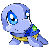 List of Chelon Colors | Subeta Wiki | Fandom