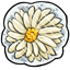 White Daisy Sticker | Subeta Wiki | Fandom