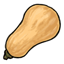 Butternut Squash | Subeta Wiki | Fandom