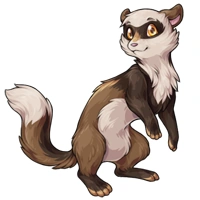 Pherret | Subeta Wiki | Fandom