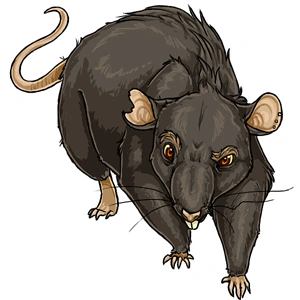 Ratticus | Subeta Wiki | Fandom