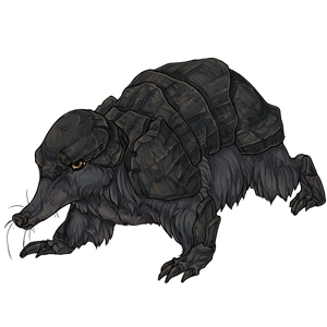 Coeli | Subeta Wiki | Fandom