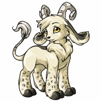 Sheeta | Subeta Wiki | Fandom