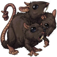 1347 | Subeta Wiki | Fandom