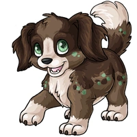 List of Ruffie Colors | Subeta Wiki | Fandom