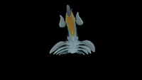 Pinnacarid | Wiki Subnautica- belowzero | Fandom
