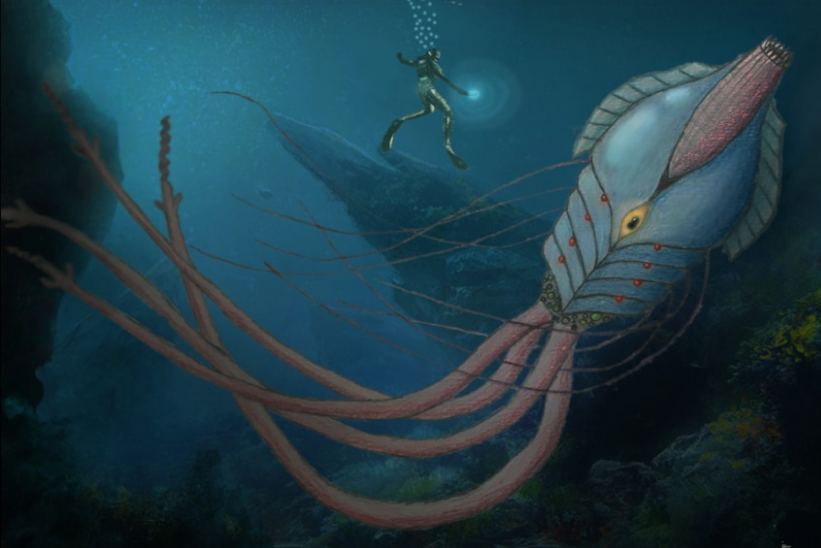 Древесный кальмар Subnautica выдумки вики Fandom