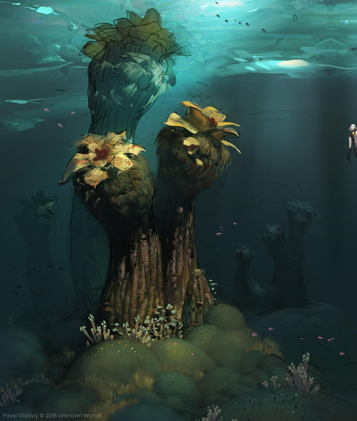 Цветочная равнина Subnautica выдумки вики Fandom