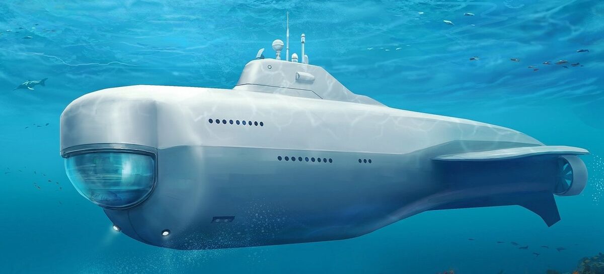 Bulk Whale Subnautica Fanon Wiki Fandom