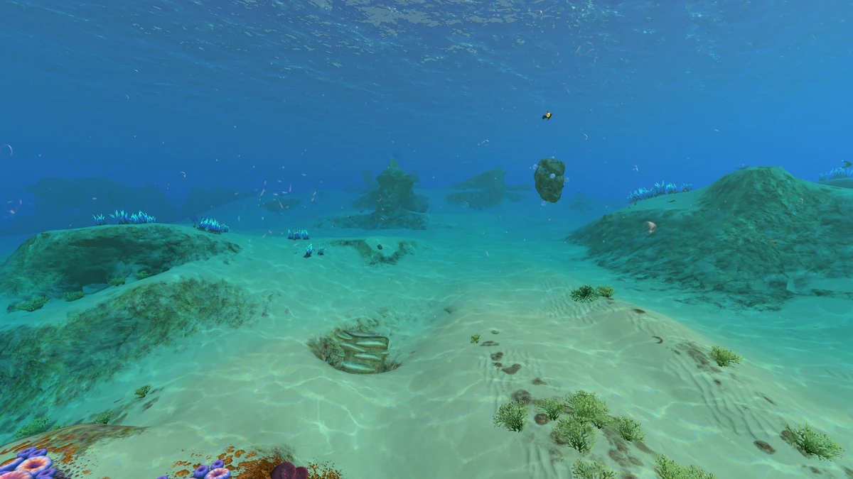 Shallowed Shores | Subnautica Fanon Wiki | Fandom