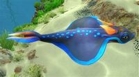 Rabbit Ray | Subnautica Wiki | Fandom