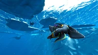 Pinnacarid | Subnautica Wiki | Fandom