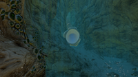 Safe Shallows Caves | Subnautica Wiki | Fandom