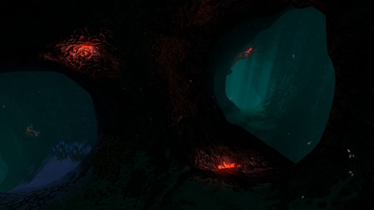 Пещеры зоны клубнекустов Subnautica вики Fandom