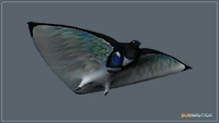 Skyray (Subnautica) | Subnautica Wiki | Fandom