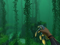 Hoverfish | Wikia Subnautica | Fandom