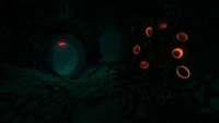 Bulb Zone Caves | Subnautica Wiki | Fandom