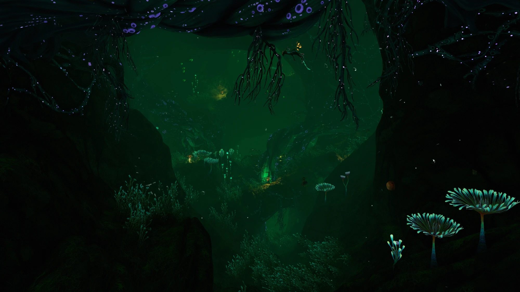 Lilypads Crevice | Subnautica Wiki | Fandom
