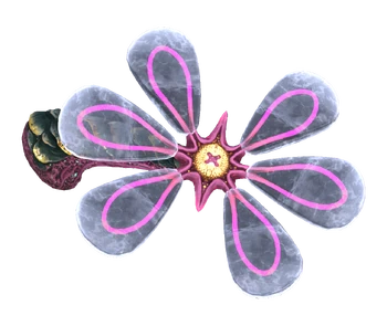Thermal Lily | Subnautica Wiki | Fandom