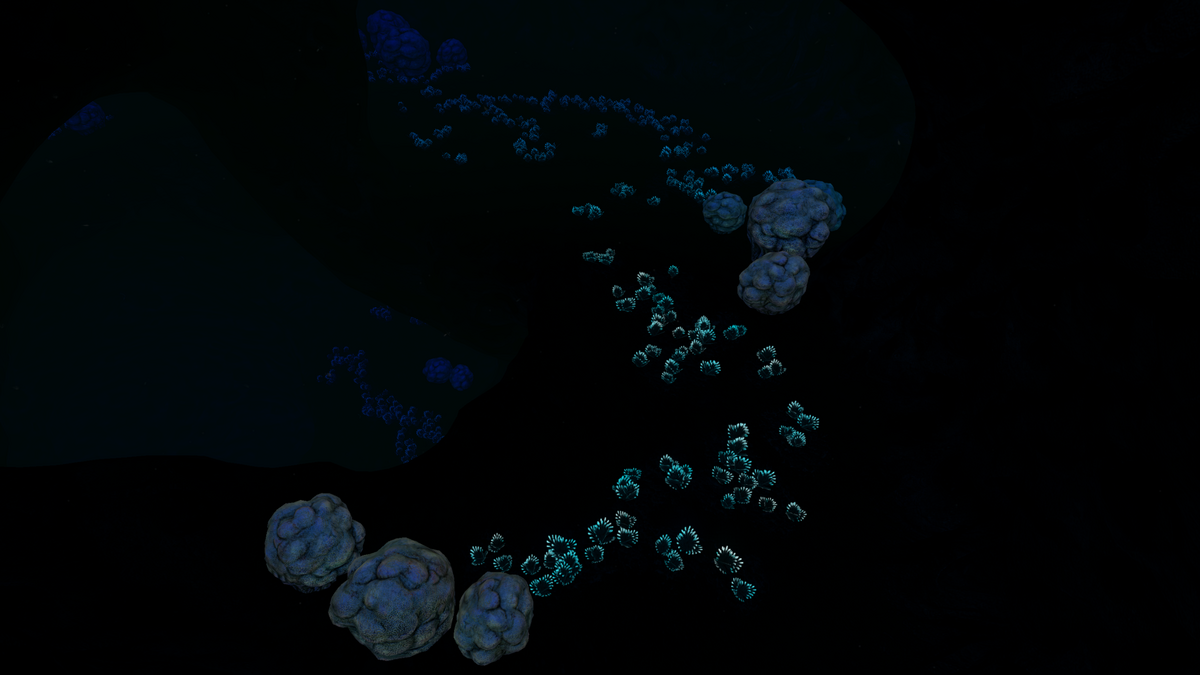 Пещеры Костяных полей Subnautica вики Fandom