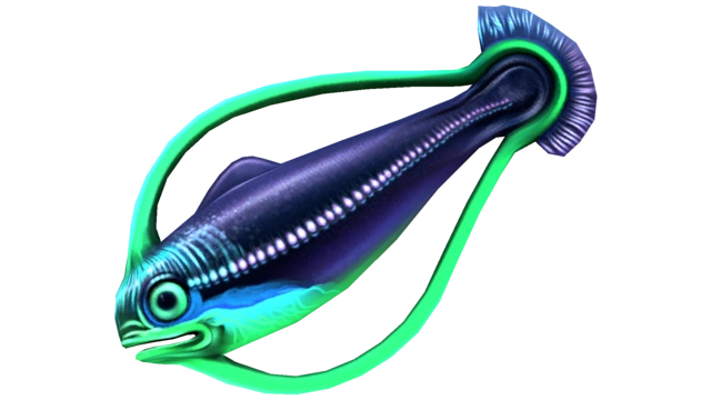 Hoopfish (Below Zero) | Subnautica Wiki | Fandom