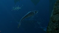Seamoth Perimeter Defense System | Subnautica Wiki | Fandom