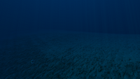 Crash Zone | Subnautica Wiki | Fandom