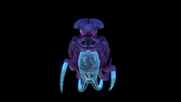 Warper | Subnautica Wiki | Fandom