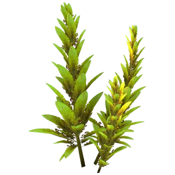 Violet Beau (Below Zero) | Subnautica Wiki | Fandom